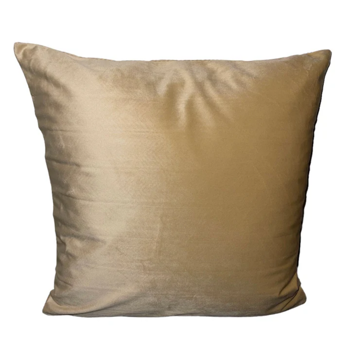 Kussen velours beige set 2 stuks 40x40 cm – RiiMi Living